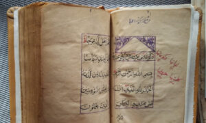 GHAZNI AND GHOR DIVERSE BUT BOTH ATTACHED TO LAHORE – SULTAN ...